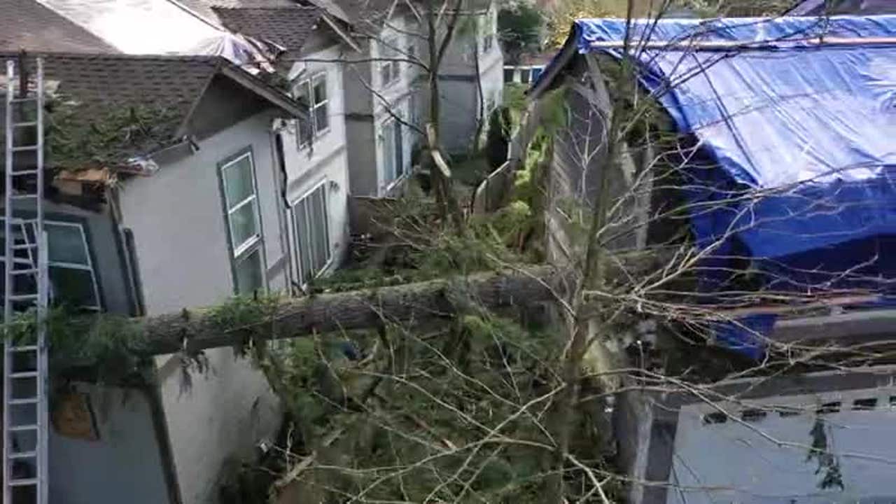 An aerial look at Issaquah's bomb cyclone storm damage | FOX 13 Seattle