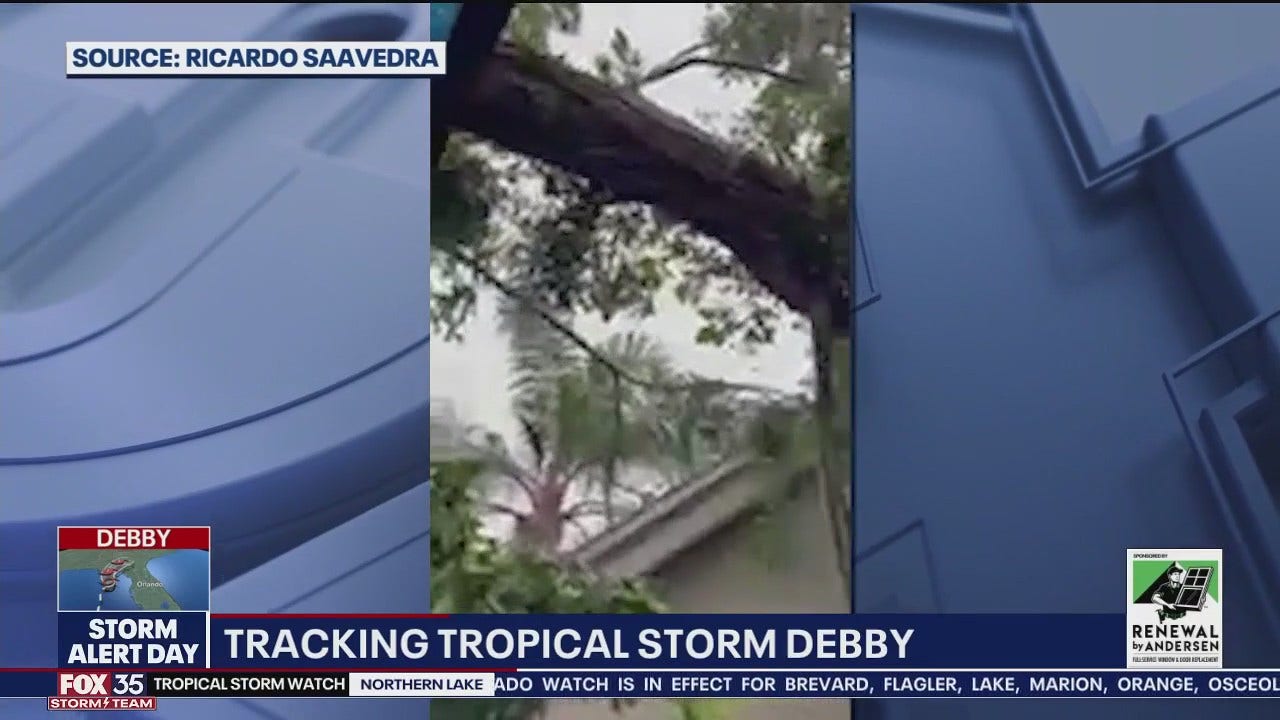 'I heard this huge boom': Tree hits man's house amid Debby | FOX 51 ...