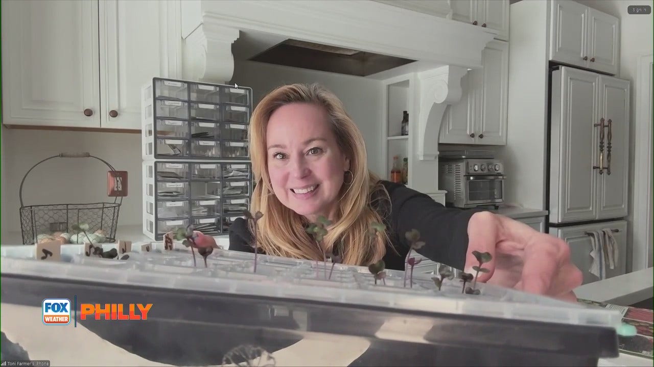 Tuesdays with Toni | FOX Weather Philly | FOX 29 Philadelphia