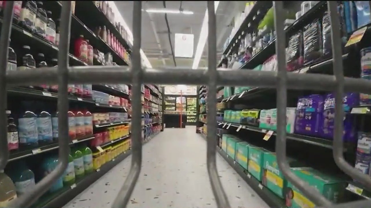 Georgia Democrats call on Kemp to fund SNAP | FOX 5 Atlanta