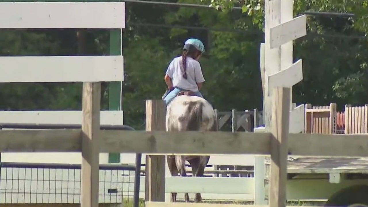 Fight continues to save Palatine Stables | FOX 32 Chicago