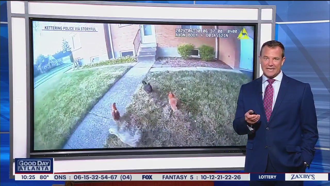 Ohio police officers chase loose chickens | FOX 5 Atlanta