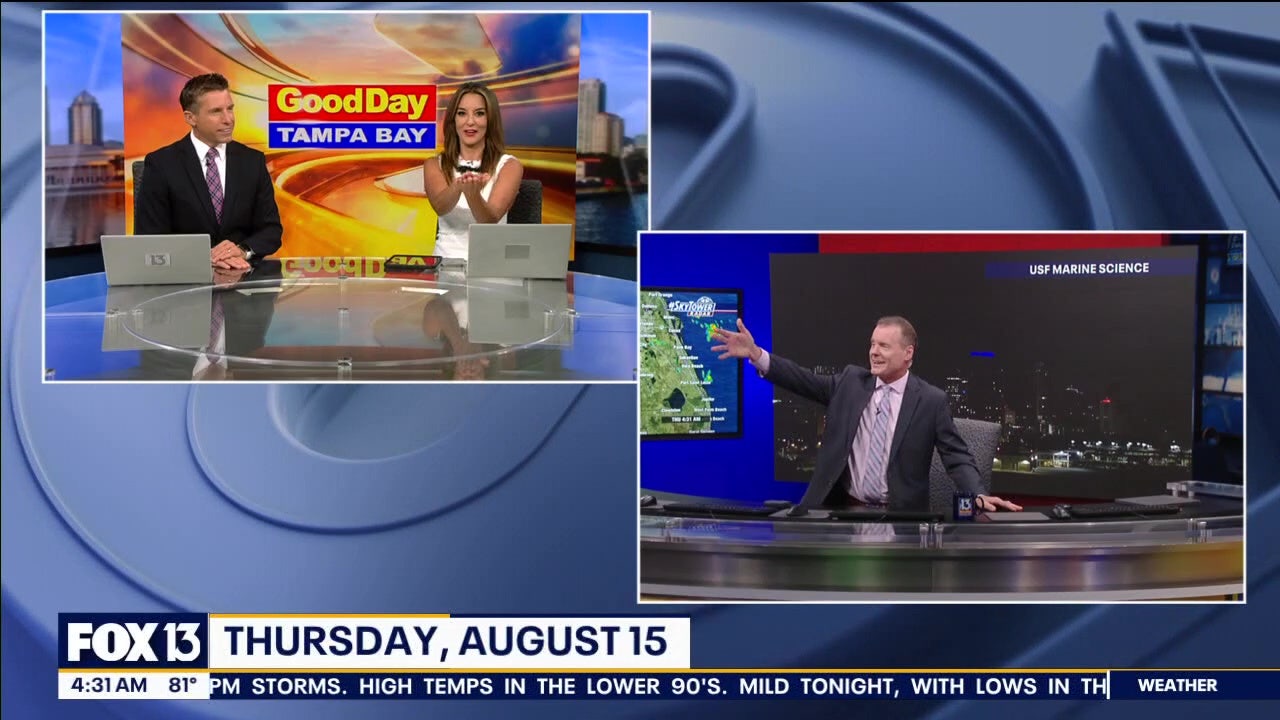 Good Day Goodies | August 16, 2024 | FOX 13 Tampa Bay