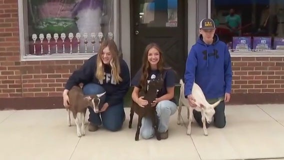 Shayne Wells | FOX 9 Minneapolis-St. Paul