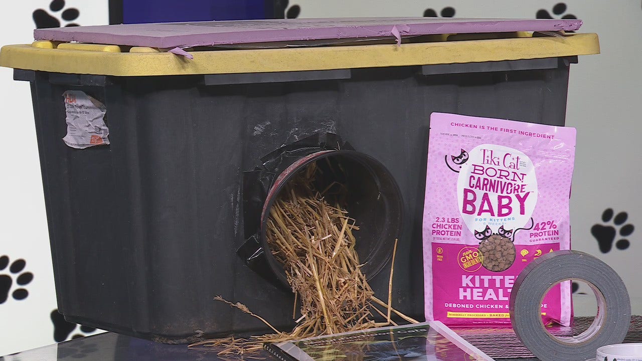 Royal Oak Beverly Hills Cat Peeps | FOX 2 Detroit