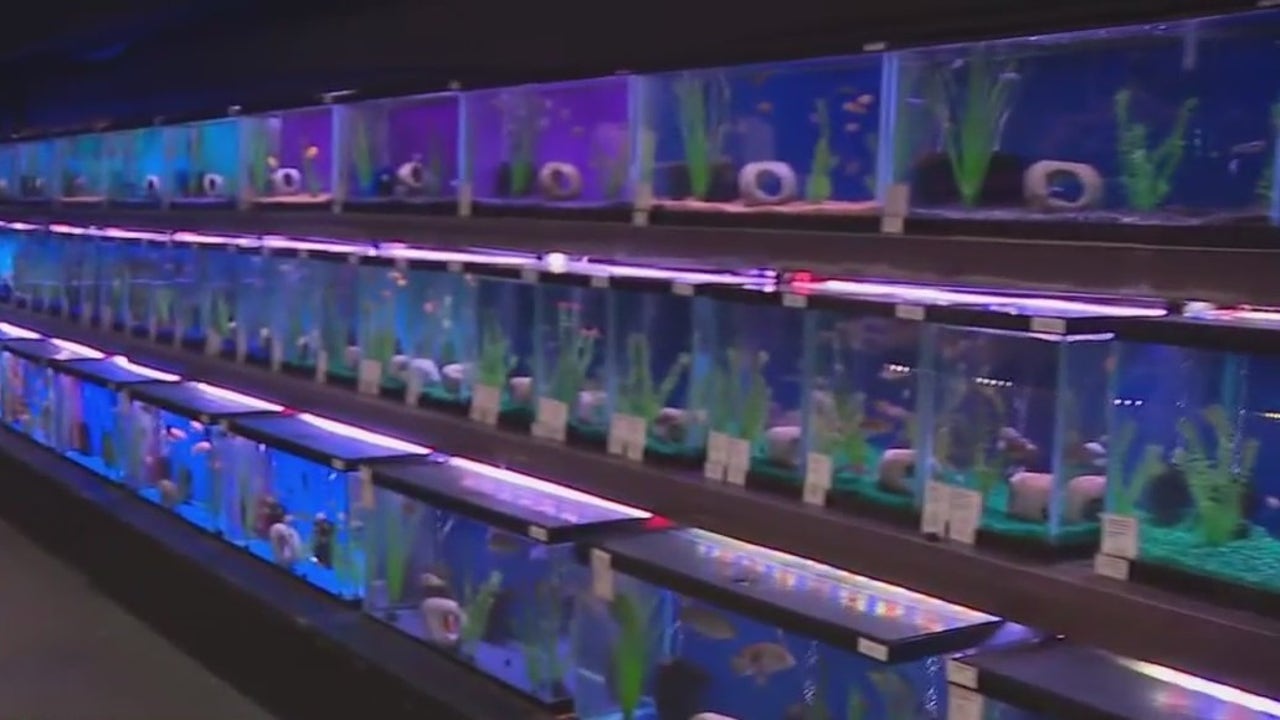 Important aquarium equipment | FOX6 Milwaukee