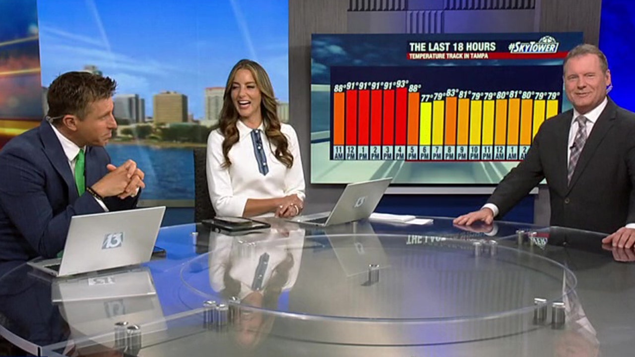 Good Day Goodies: June 27,2025 | FOX 13 Tampa Bay