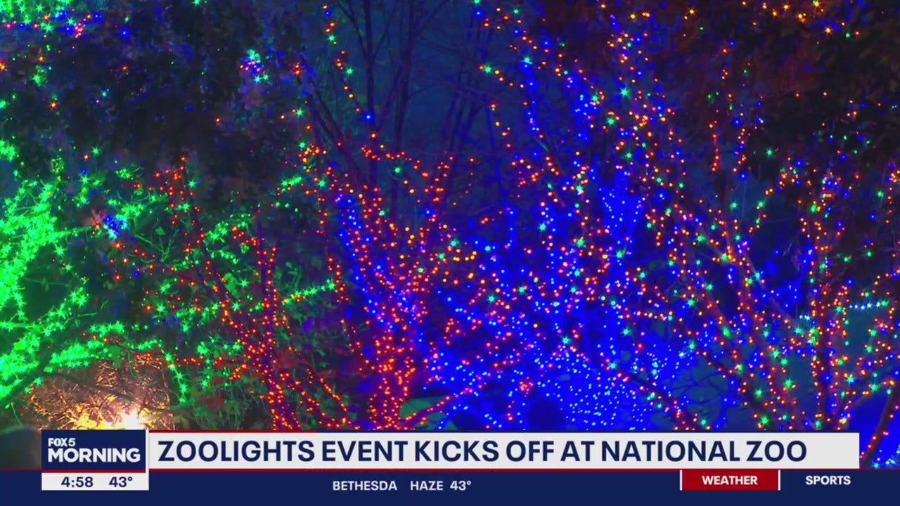 National Zoo kicks off holiday season with ZooLights | FOX 5 DC