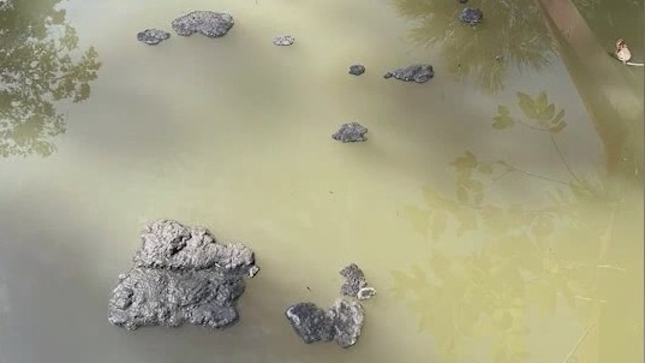 Stinky sewage pools around Palm Bay homes | FOX 35 Orlando