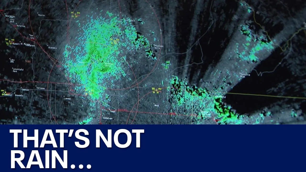 Bat swarm seen on Phoenix weather radar | FOX 10 Phoenix