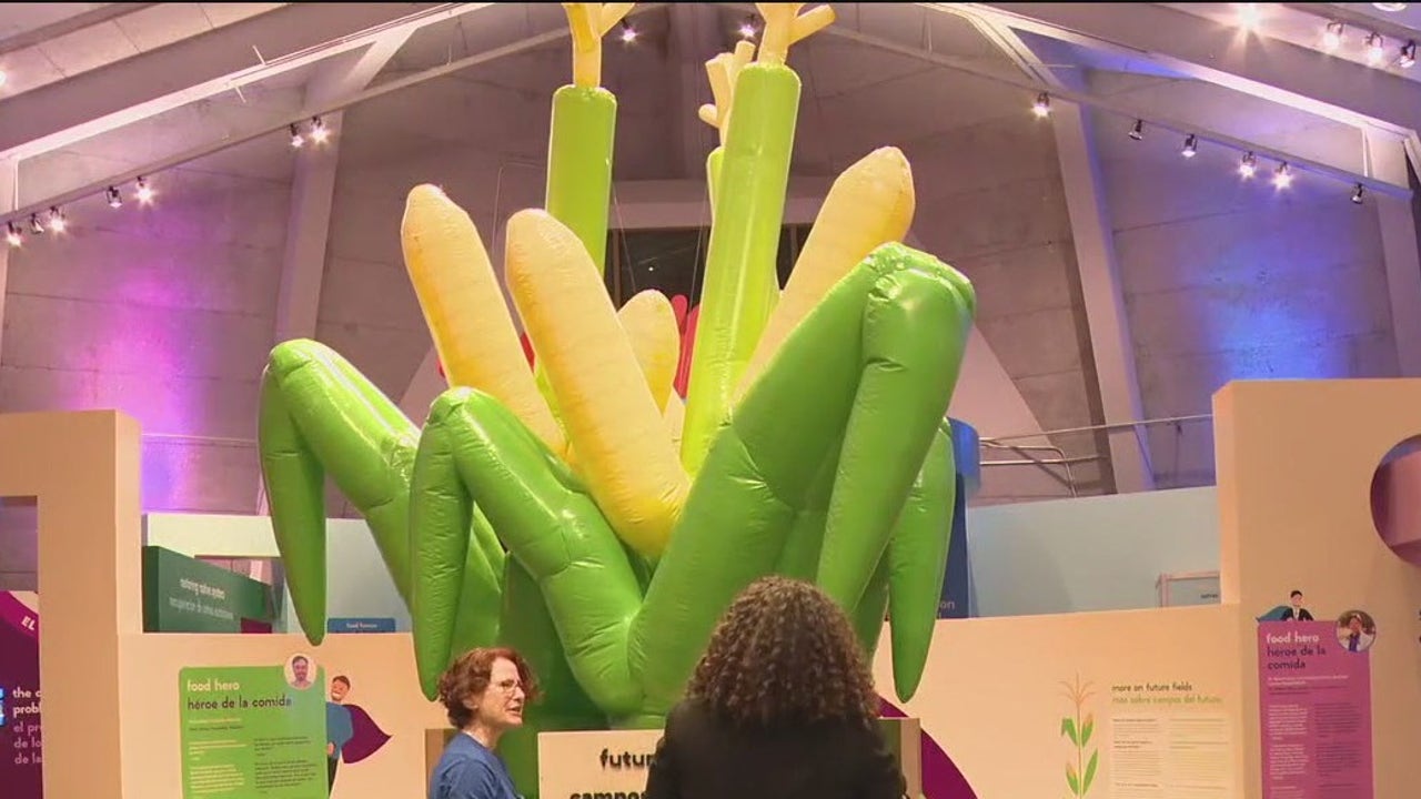 "Future of Food" exhibit to open at UC Berkeley's Lawrence Hall of ...