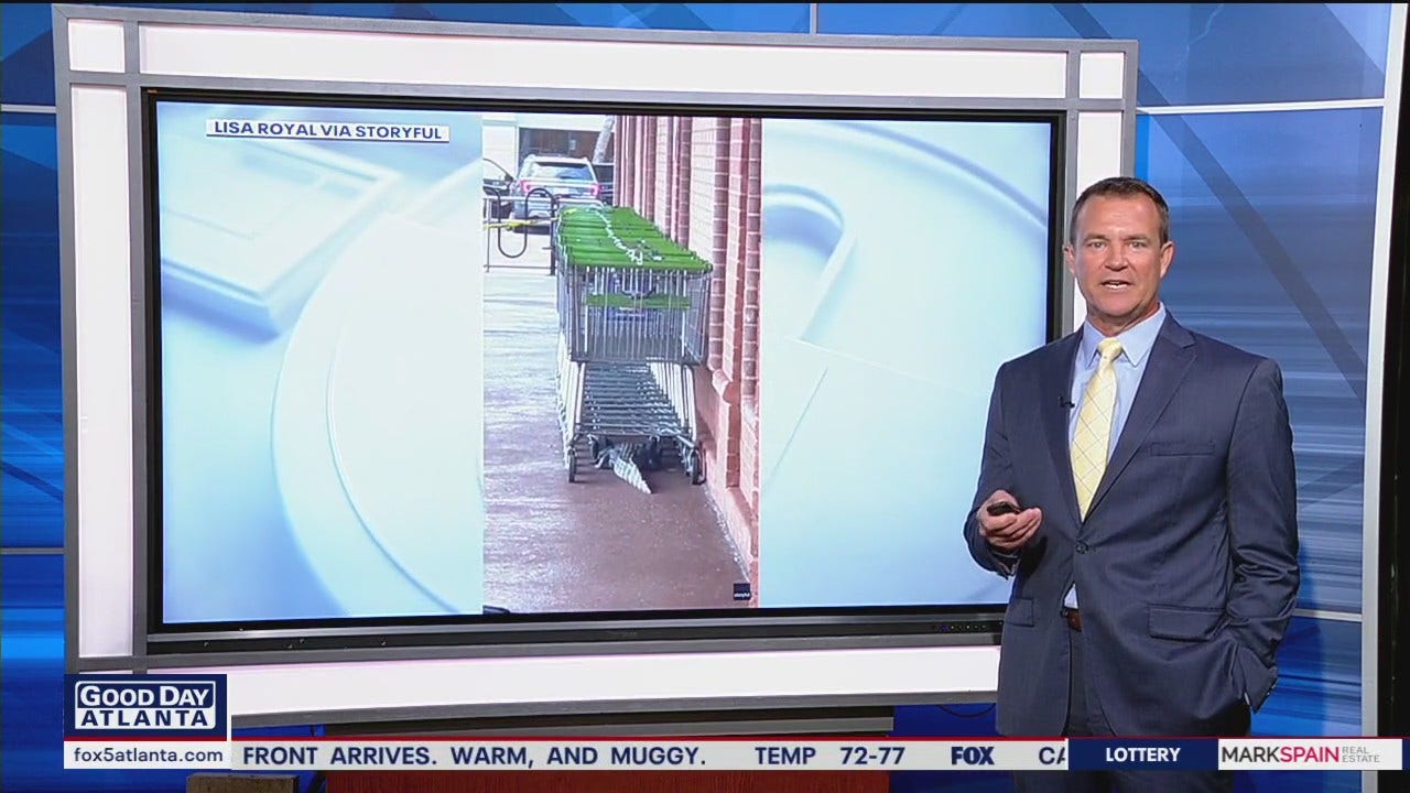 Alligator spotted at South Carolina Publix | FOX 5 Atlanta