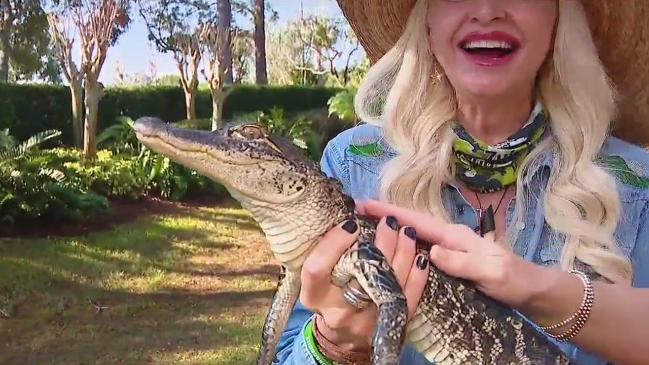 Gator Day: Florida's twist on Groundhog Day | FOX 35 Orlando