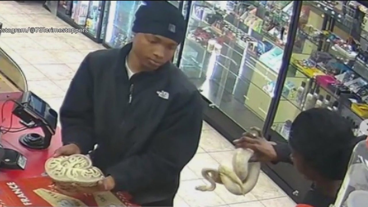 Across America: Search for python-wielding thieves | FOX 32 Chicago