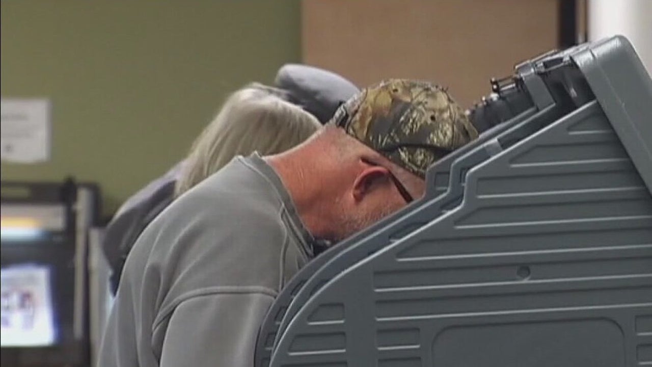 Language services offered at the polls in MN | FOX 9 Minneapolis-St. Paul