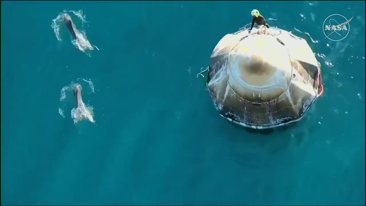 Dolphins put on show after NASA's SpaceX capsule Dragon splashes down ...