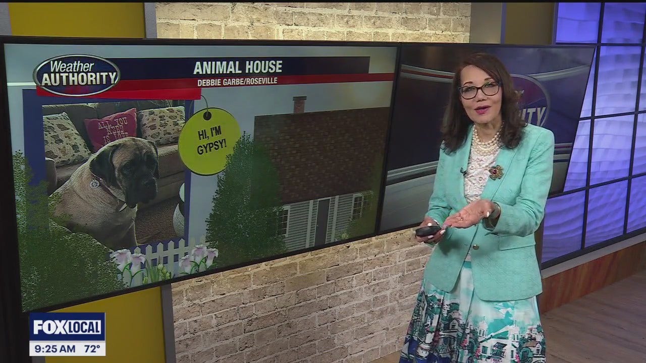 Welcome Gypsy | FOX 2 Detroit