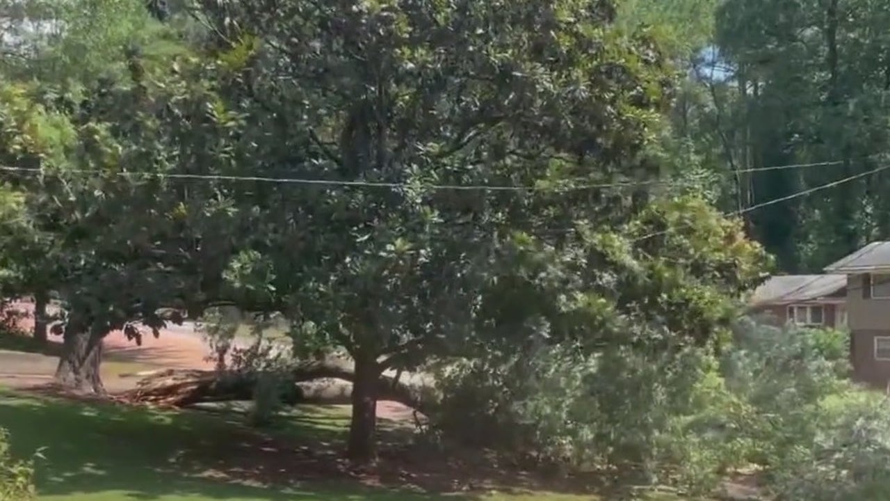 Tree falls on power lines in NE Atlanta | FOX 5 Atlanta