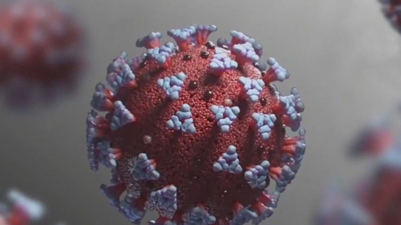 Dr. Neil Winawer on COVID's summer surge | FOX 5 Atlanta