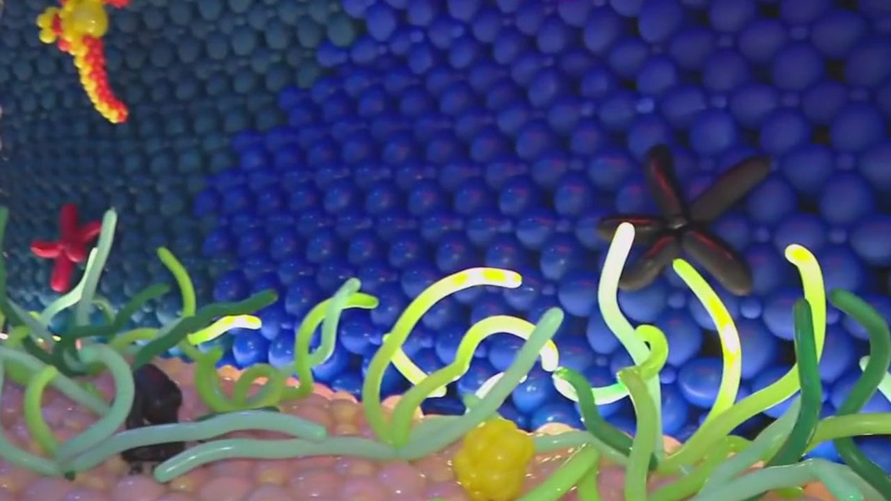 'Balloon Story' exhibit takes flight in NYC | FOX 5 New York