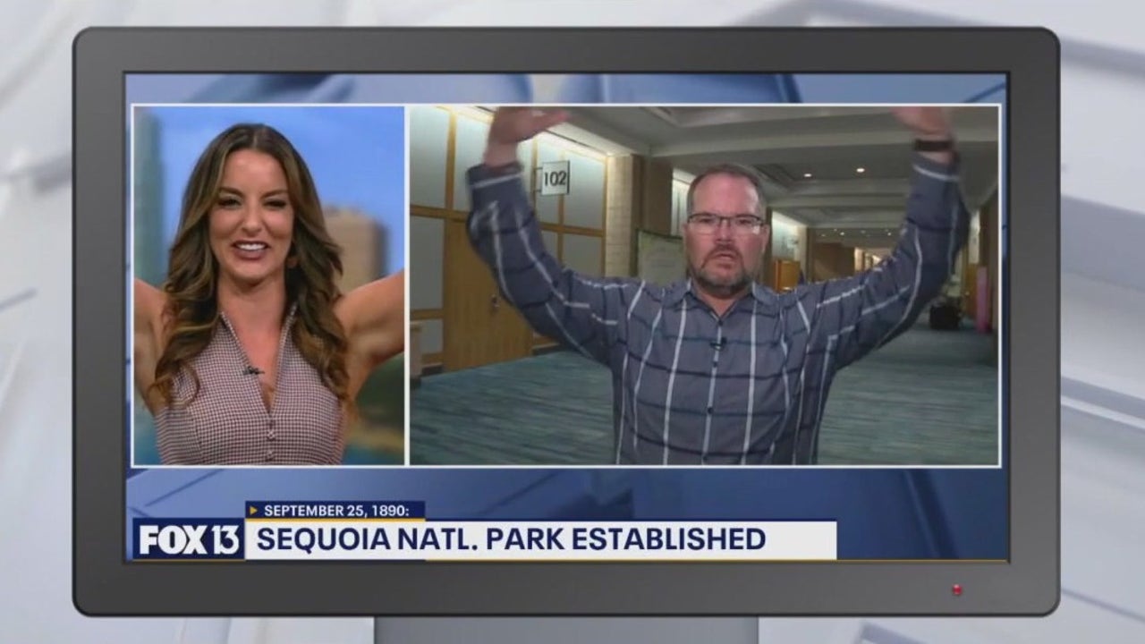 Good Day Goodies: September 26, 2025 | FOX 13 Tampa Bay