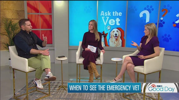 FOX 9 Morning News | FOX 9 Minneapolis-St. Paul