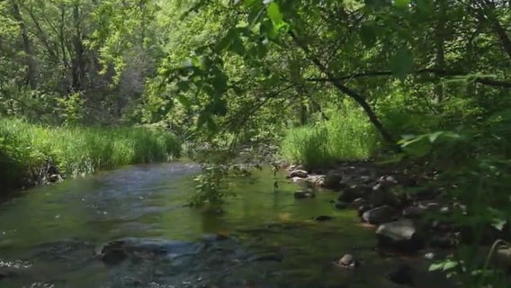 Shayne Wells | FOX 9 Minneapolis-St. Paul