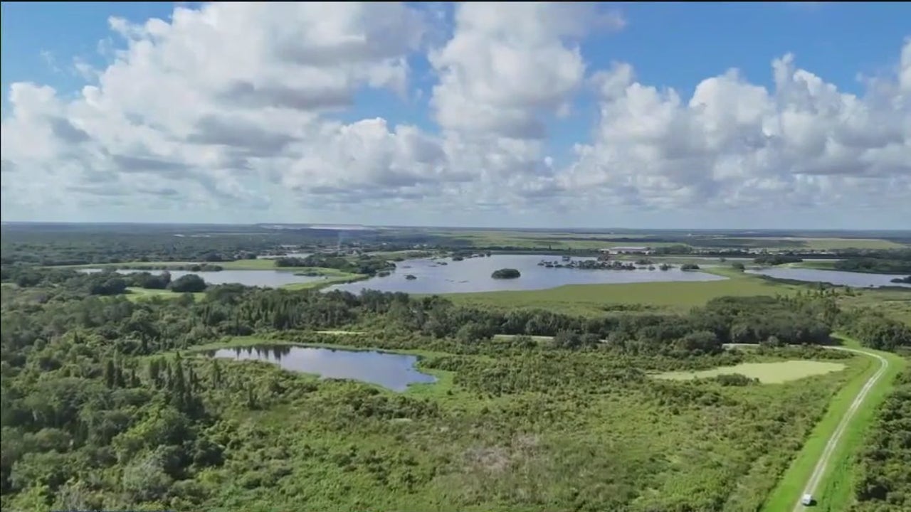 Se7en Wetlands shows off beauty and clean water | FOX 13 Tampa Bay