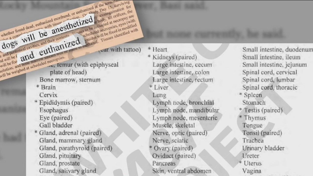 Wisconsin dog-breeding facility faces scrutiny over hundreds of ...