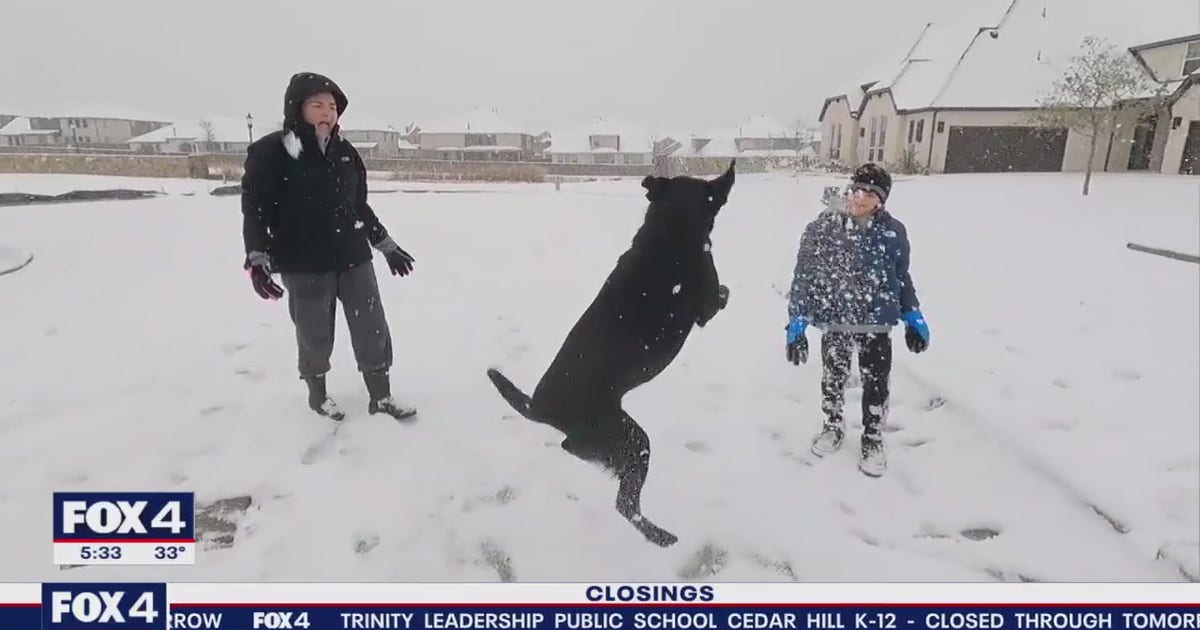 PHOTOS: North Texans enjoy the snow across DFW | FOX 4 Dallas-Fort Worth