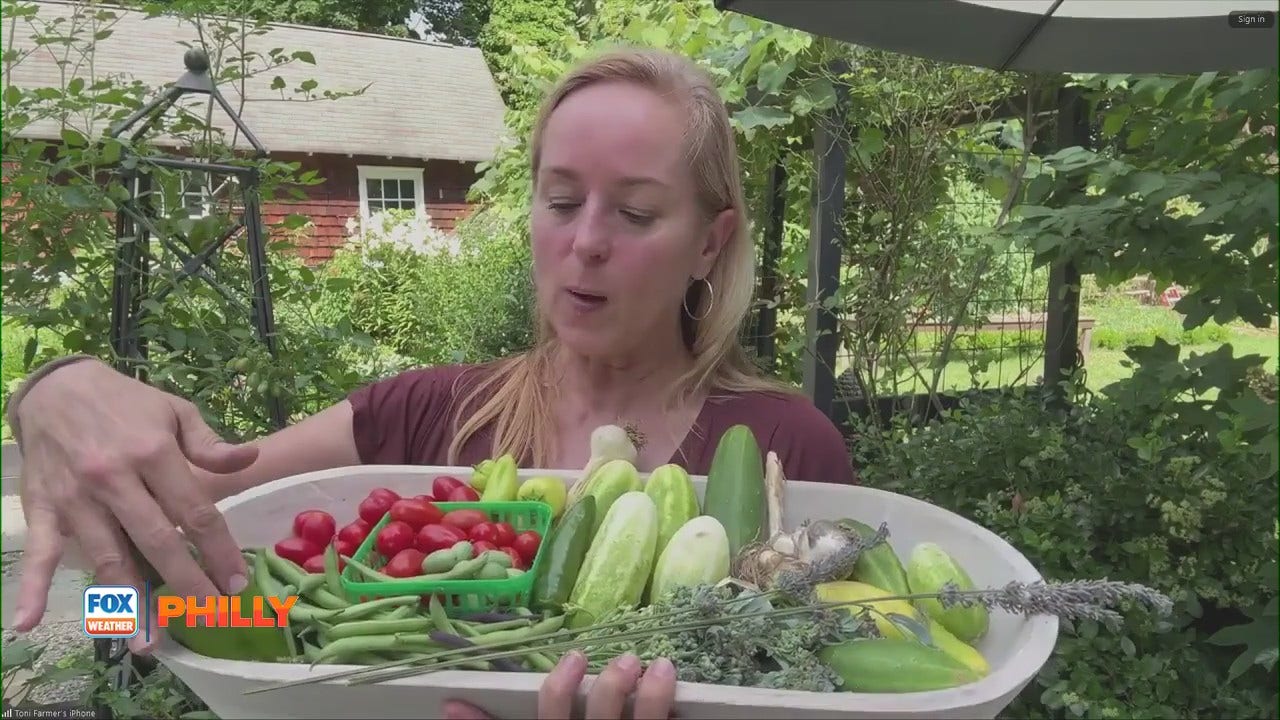 FOX Weather Philly: Tuesdays with Toni | FOX 29 Philadelphia