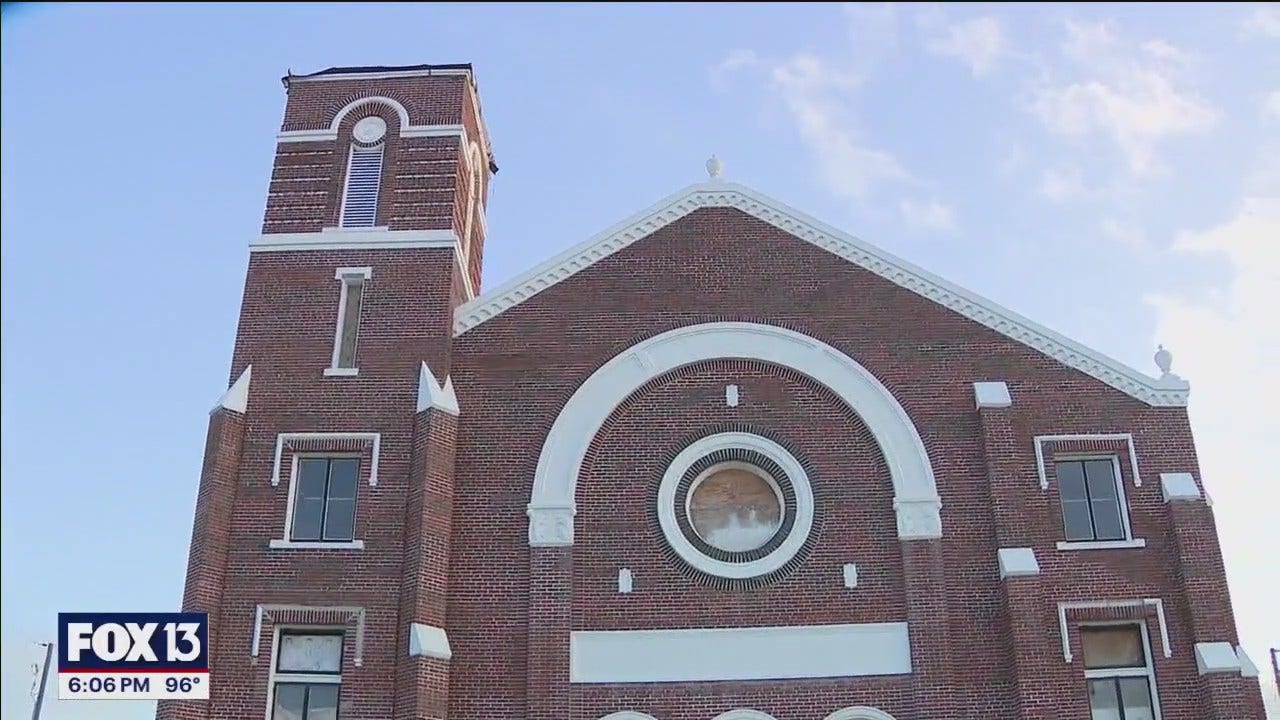 Treehouse Sanctuary reopens in St. Pete | FOX 13 Tampa Bay