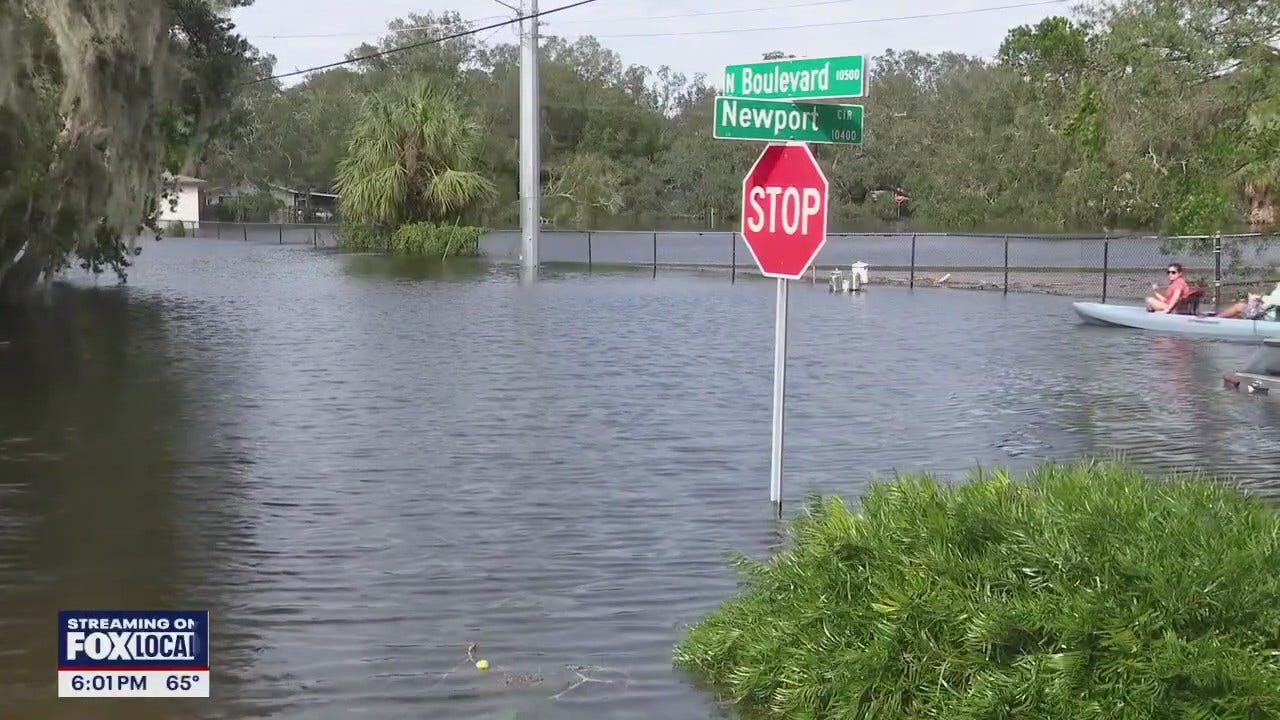 Disaster SNAP benefit assistance | FOX 13 Tampa Bay
