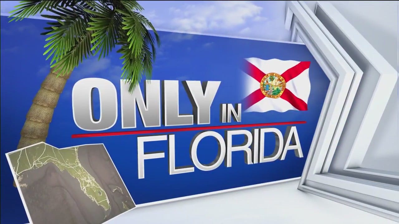 Chris Cato's 'Only in Florida' | FOX 13 Tampa Bay