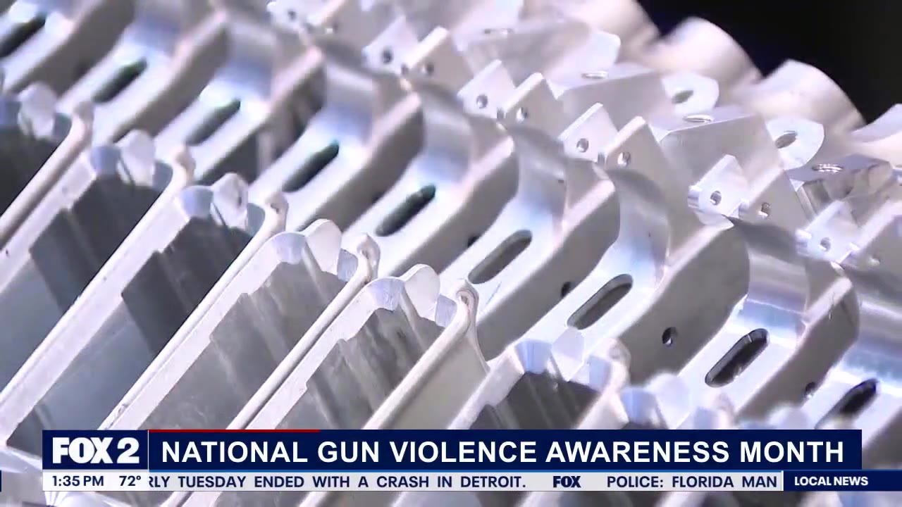 Gun Violence Solutions for Gun Violence Awareness Month | FOX 2 Detroit