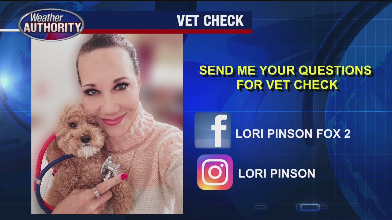 Vet Check | FOX 2 Detroit