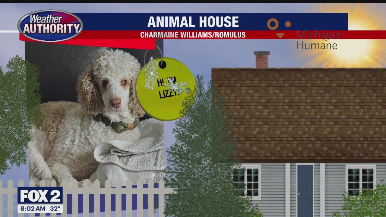 Welcome Lizzy, Luda, Spike, Thunder, Frank | FOX 2 Detroit