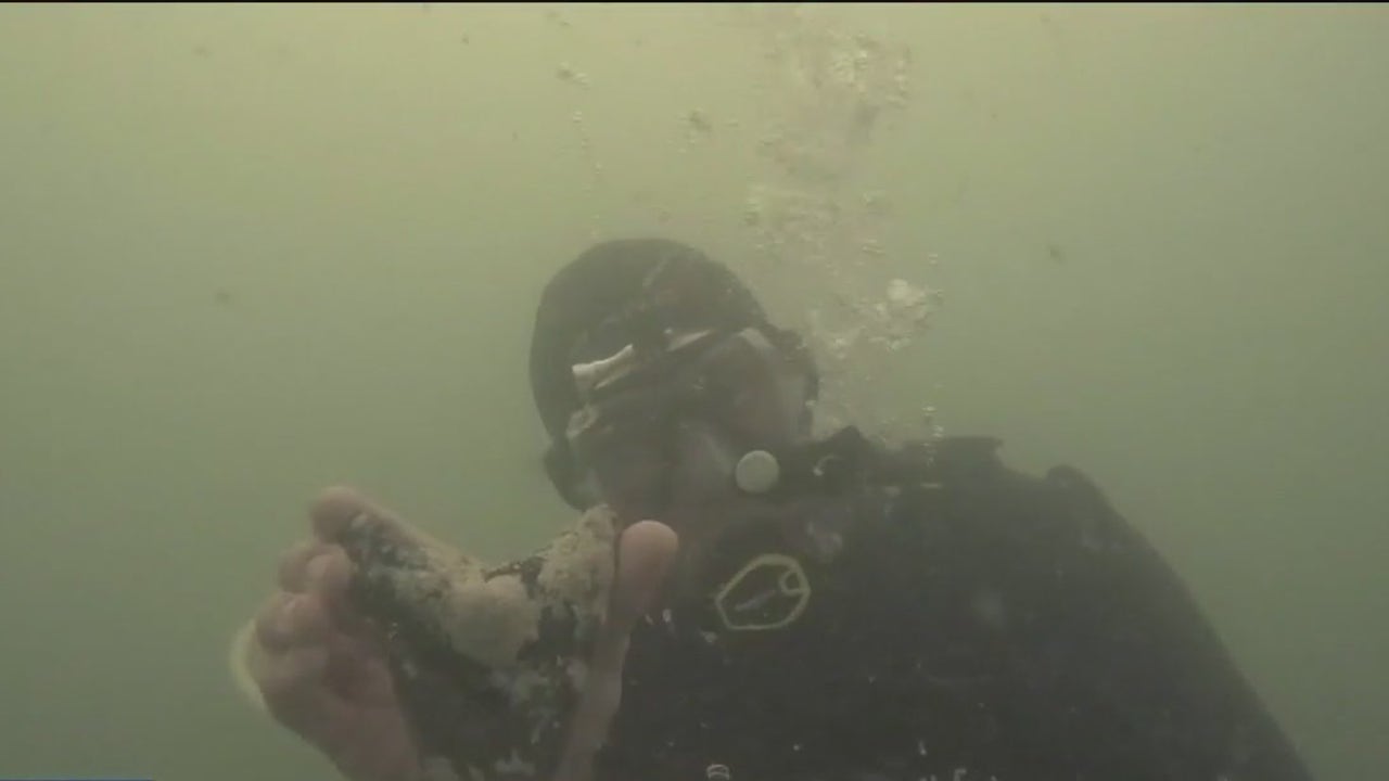 Scuba divers look for treasure | FOX 13 Tampa Bay