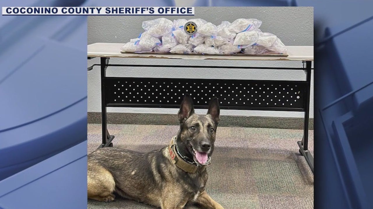 Arizona K-9 unit seizes 40 pounds of meth | FOX 10 Phoenix