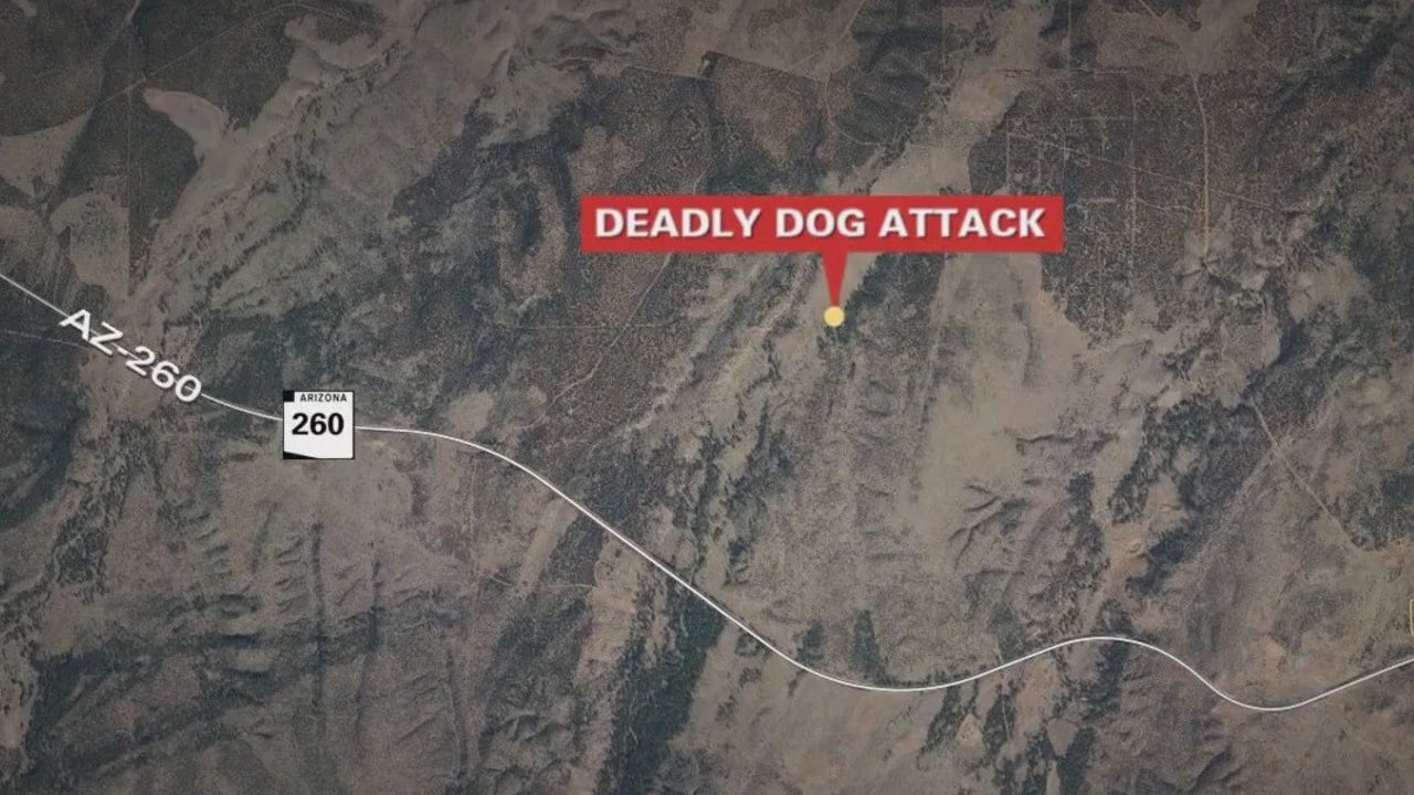 Family dogs maul little girl to death in Arizona | FOX 10 Phoenix