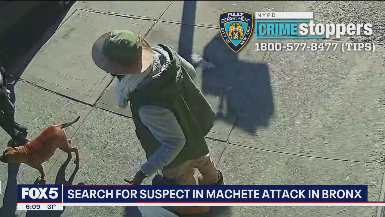 Bronx man gets hand chopped by machete-wielding man | FOX 5 New York
