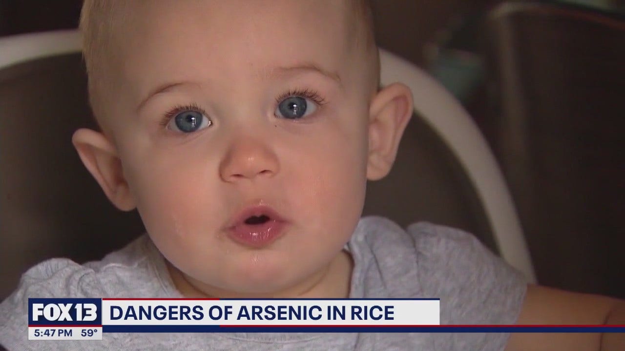 Dangerous levels of arsenic found in U.S. rice | FOX 13 Seattle