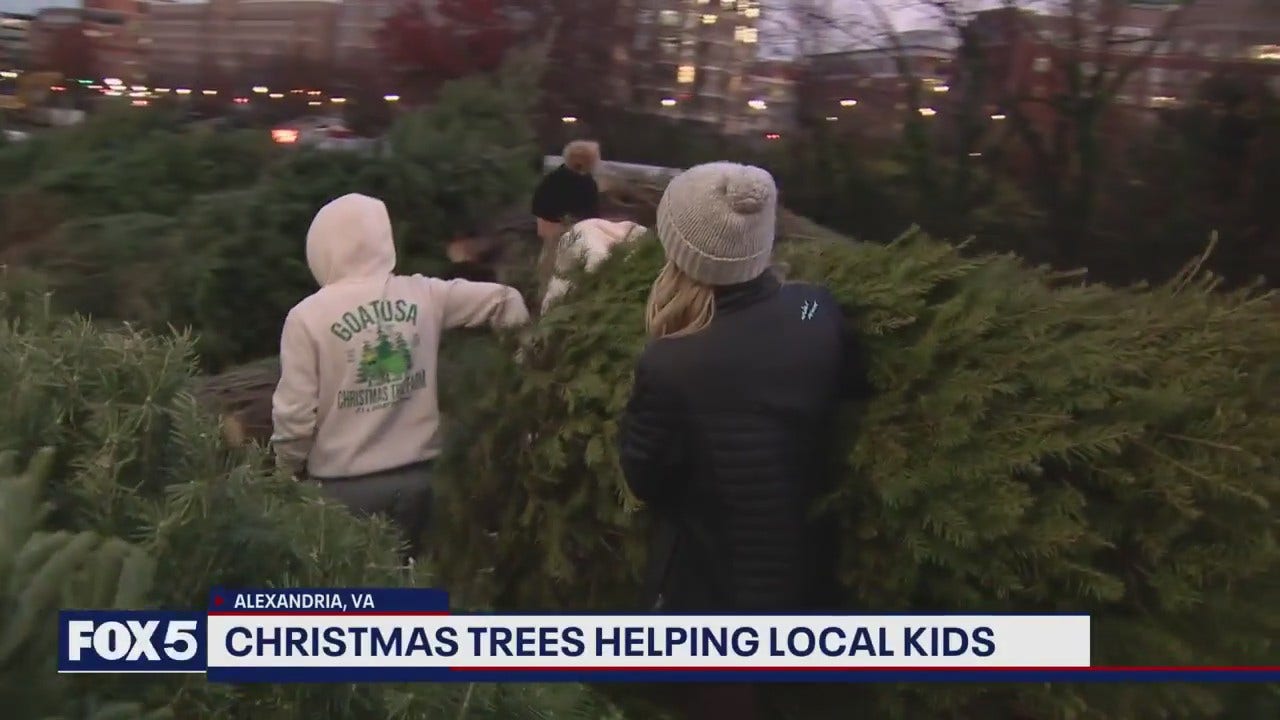 Alexandria Police Youth Camp Christmas tree sale | FOX 5 DC