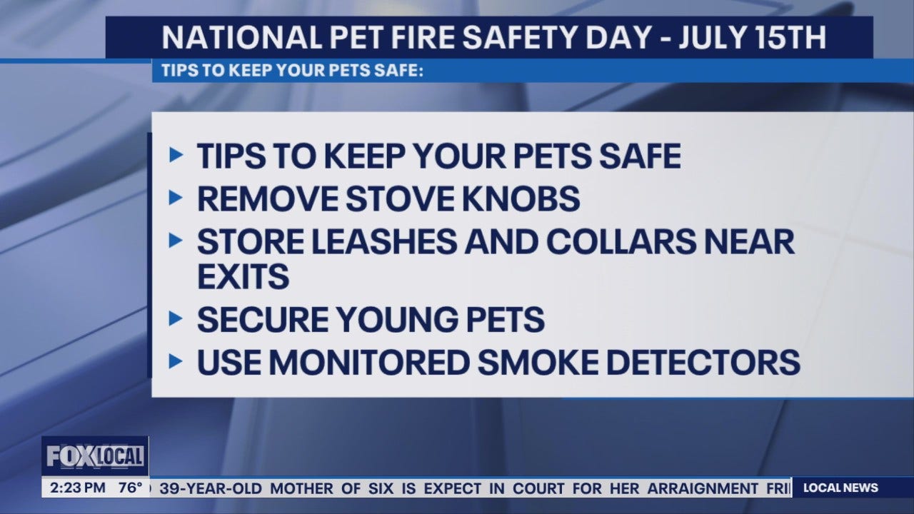 Pet Fire Safety Tips From Premier Pet Supply | FOX 2 Detroit