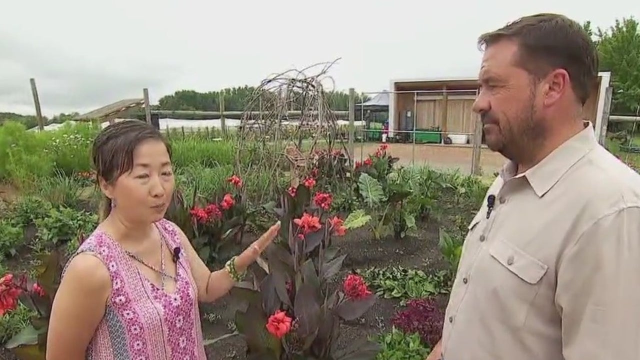 Hmong garden exhibit open at the ARB | FOX 9 Minneapolis-St. Paul