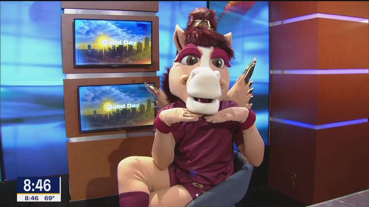 Meet Dallas Trinity's new magical mascot | FOX 4 Dallas-Fort Worth