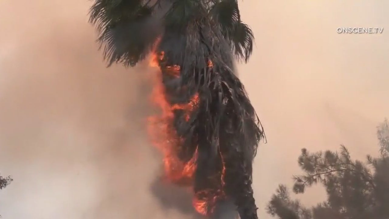 Hawarden Fire started by fireworks | FOX 11 Los Angeles