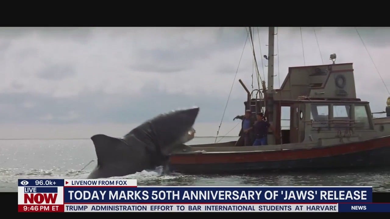 50 years of 'Jaws' | LiveNOW from FOX