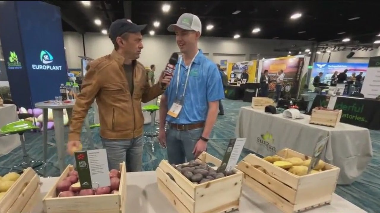 Potato Expo 2025 at Orlando World Center Marriott | FOX 35 Orlando