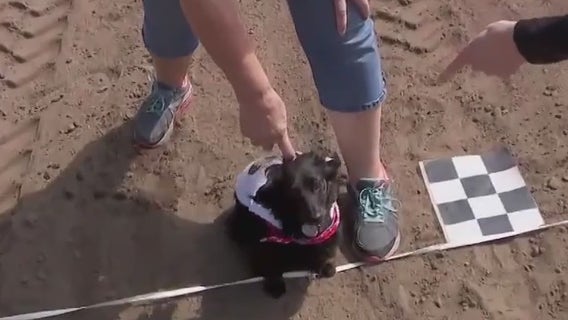 Shayne Wells | FOX 9 Minneapolis-St. Paul